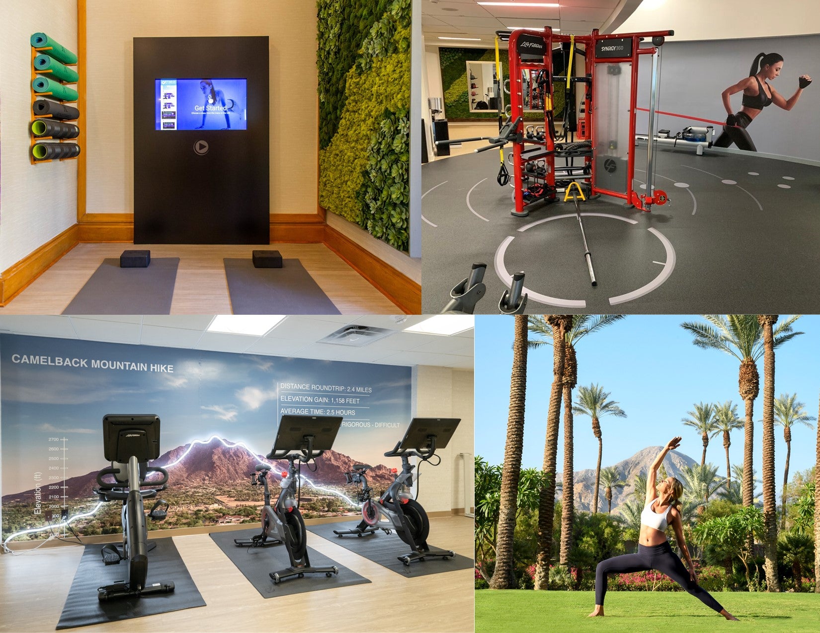 Boost Fitness Center Satisfaction with a Custom Green Wall, Mural or W ...
